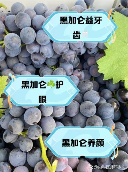 黑加仑图片大全大图_黑加仑和葡萄有什么区别-第1张图片-山城妙识 黑加仑图片大全大图_黑加仑和葡萄有什么区别-第1张图片-山城妙识