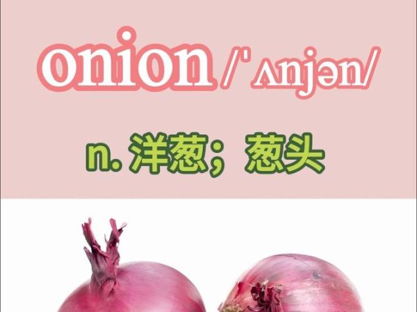 onion怎么读_onion发音技巧-第1张图片-山城妙识