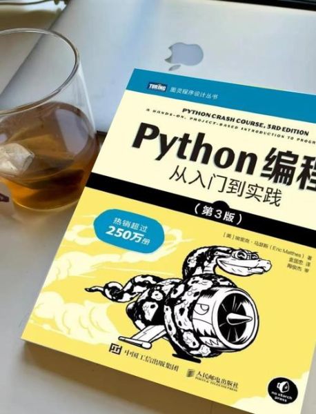 菜鸟教程python怎么学_python入门看什么书-第1张图片-山城妙识