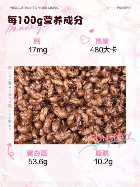 知了壳怎么吃_知了壳功效最好-第2张图片-山城妙识