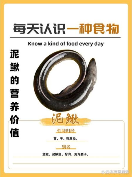 泥鳅的营养价值有哪些_泥鳅的功效与作用-第3张图片-山城妙识