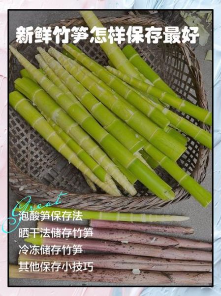 笋子怎么保存新鲜_新鲜笋子能放几天-第2张图片-山城妙识 笋子怎么保存新鲜_新鲜笋子能放几天-第2张图片-山城妙识