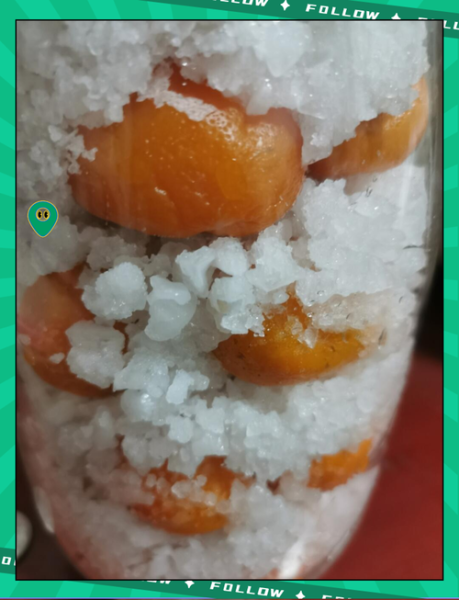 咸金桔怎么吃_咸金桔的正确吃法-第1张图片-山城妙识 咸金桔怎么吃_咸金桔的正确吃法-第1张图片-山城妙识