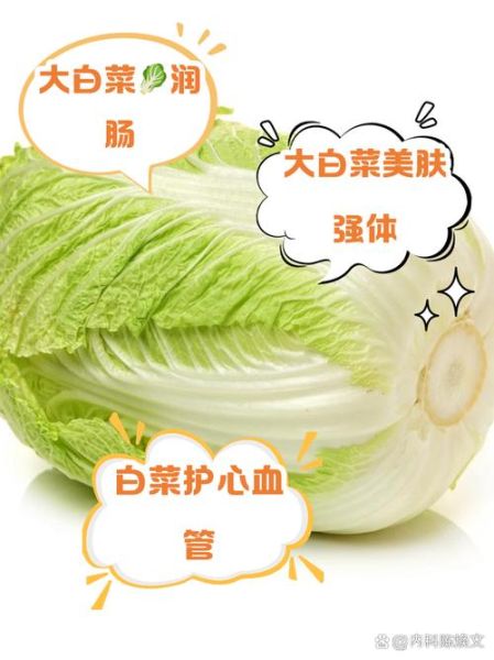 白菜的营养价值_吃白菜有什么好处-第2张图片-山城妙识 白菜的营养价值_吃白菜有什么好处-第2张图片-山城妙识
