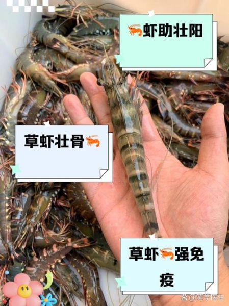 草虾养殖技术_如何提高草虾成活率-第3张图片-山城妙识