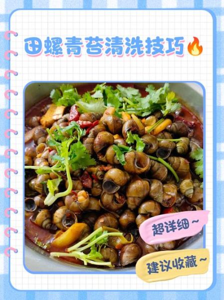 田螺怎么清洗才干净_田螺的做法视频详细教程-第2张图片-山城妙识 田螺怎么清洗才干净_田螺的做法视频详细教程-第2张图片-山城妙识