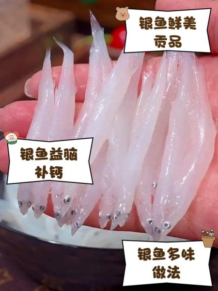 太湖银鱼多少钱一斤_正宗太湖银鱼价格行情-第1张图片-山城妙识 太湖银鱼多少钱一斤_正宗太湖银鱼价格行情-第1张图片-山城妙识
