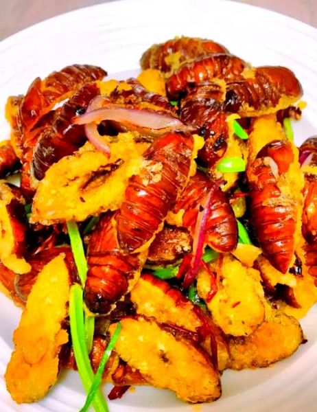 蝉蛹怎么做好吃_蝉蛹做法大全-第1张图片-山城妙识