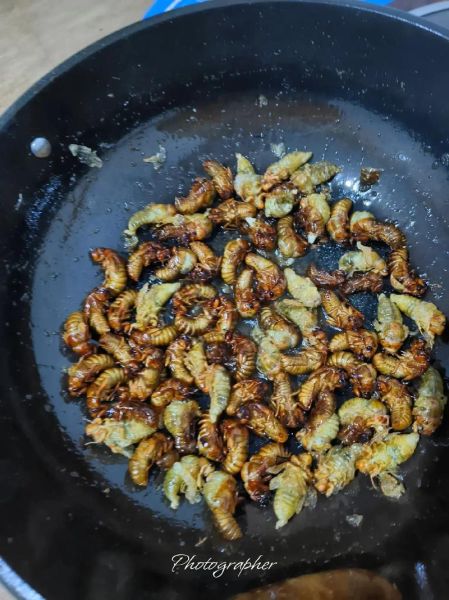 蝉蛹怎么做好吃_蝉蛹做法大全-第3张图片-山城妙识