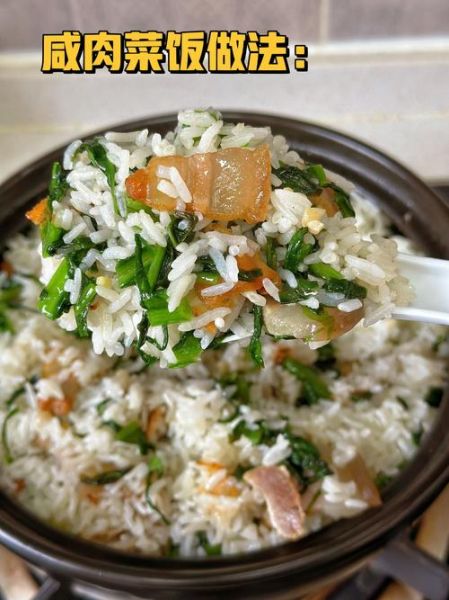 咸肉菜饭用电压力锅怎么做_咸肉菜饭电压力锅水量比例-第3张图片-山城妙识