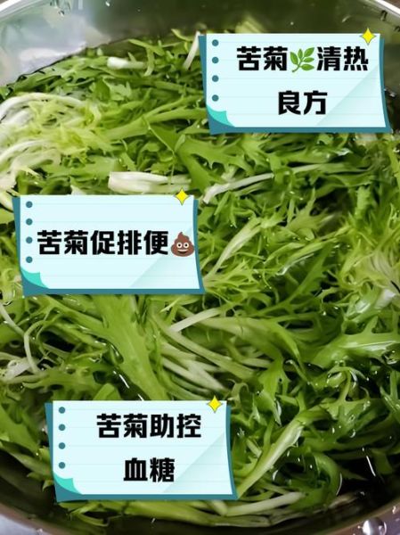 苦菊的功效与作用_苦菊的禁忌有哪些-第2张图片-山城妙识