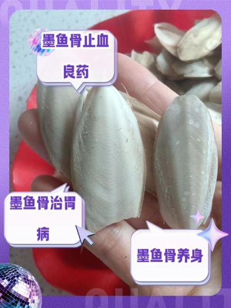 乌贼骨的功效与作用_乌贼骨能治胃酸过多吗-第2张图片-山城妙识 乌贼骨的功效与作用_乌贼骨能治胃酸过多吗-第2张图片-山城妙识