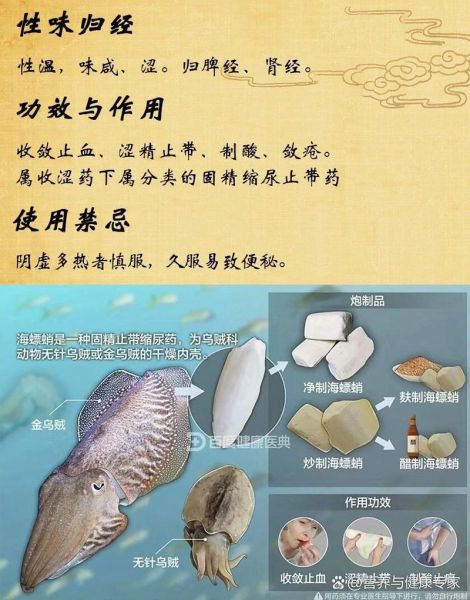 乌贼骨的功效与作用_乌贼骨能治胃酸过多吗-第3张图片-山城妙识 乌贼骨的功效与作用_乌贼骨能治胃酸过多吗-第3张图片-山城妙识