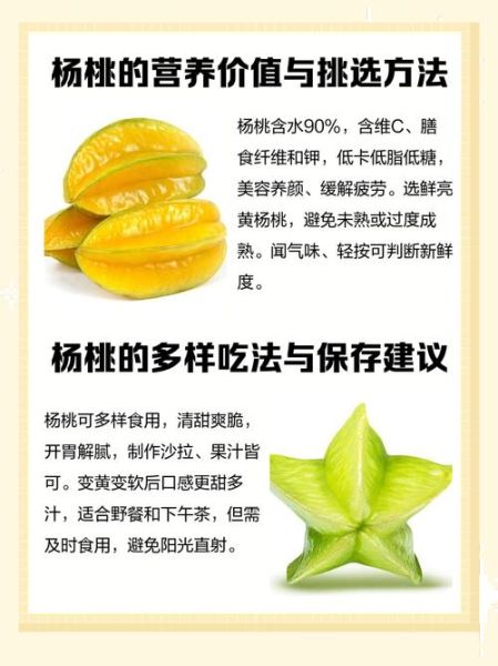 女人每天吃杨桃有什么好处_杨桃对女性的功效与作用-第3张图片-山城妙识