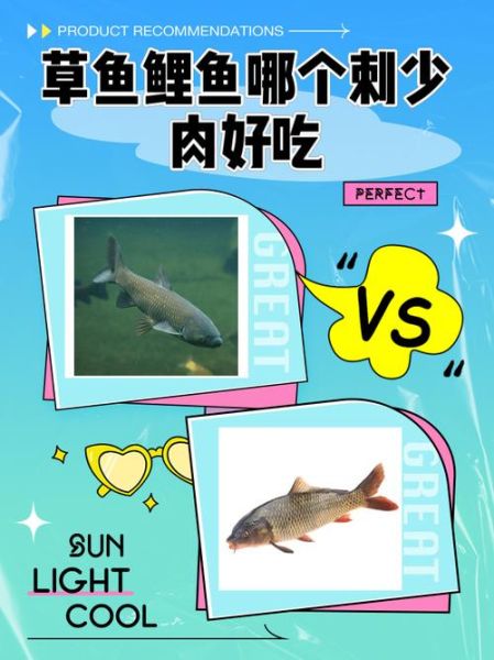 草鱼刺多吗_草鱼适合宝宝吃吗-第2张图片-山城妙识