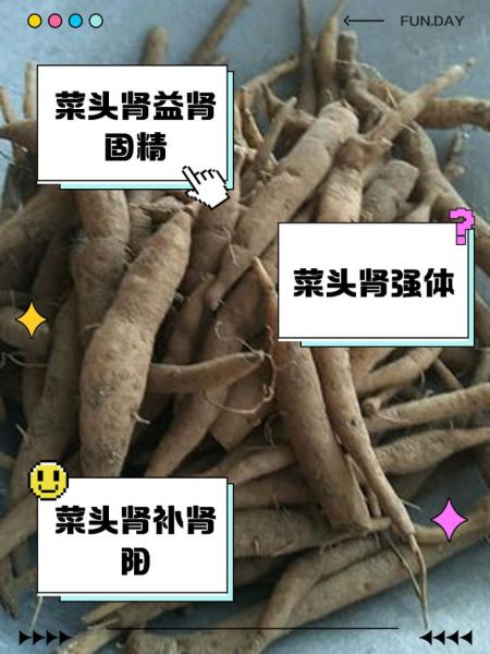 菜头的功效与作用_菜头怎么吃最养生-第2张图片-山城妙识 菜头的功效与作用_菜头怎么吃最养生-第2张图片-山城妙识