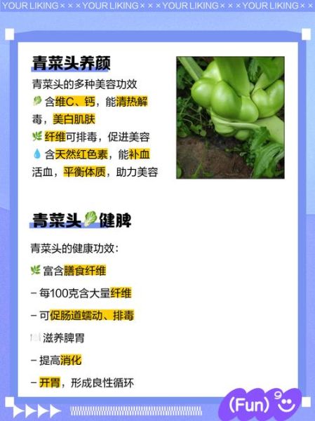 菜头的功效与作用_菜头怎么吃最养生-第1张图片-山城妙识 菜头的功效与作用_菜头怎么吃最养生-第1张图片-山城妙识