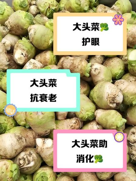 菜头的功效与作用_菜头怎么吃最养生-第3张图片-山城妙识 菜头的功效与作用_菜头怎么吃最养生-第3张图片-山城妙识