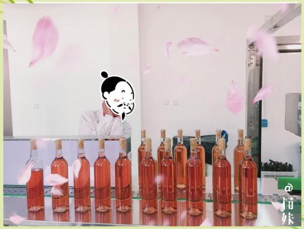 葡萄酒自己怎么酿造_自酿葡萄酒步骤-第3张图片-山城妙识 葡萄酒自己怎么酿造_自酿葡萄酒步骤-第3张图片-山城妙识