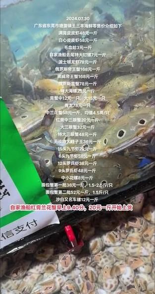 海蟹价格多少钱一斤_今日海蟹最新行情-第1张图片-山城妙识