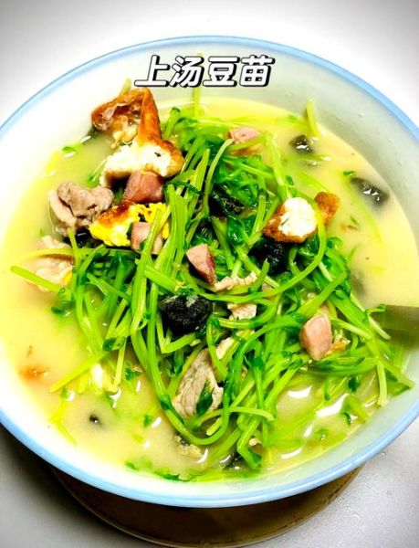 上汤豆苗是什么豆发的_上汤豆苗用哪种豆子-第1张图片-山城妙识