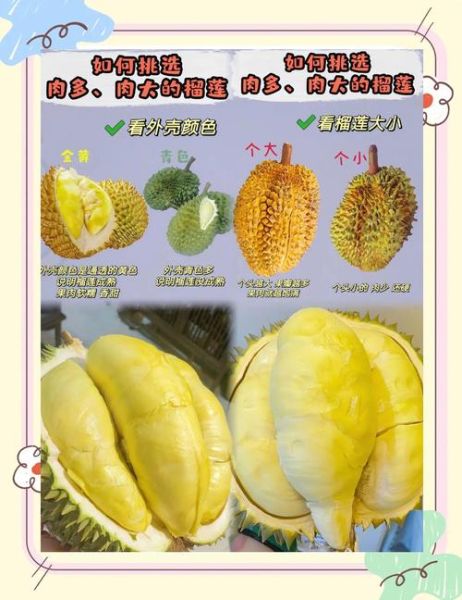 榴莲网购怎么选_网购榴莲靠谱吗-第3张图片-山城妙识 榴莲网购怎么选_网购榴莲靠谱吗-第3张图片-山城妙识