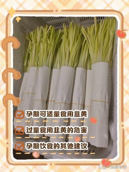 孕妇可以吃韭黄吗_韭黄对孕妇的好处与禁忌-第3张图片-山城妙识 孕妇可以吃韭黄吗_韭黄对孕妇的好处与禁忌-第3张图片-山城妙识