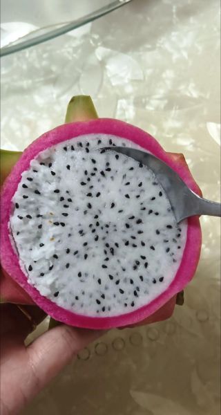 火龙果去火吗_火龙果降火效果怎么样-第3张图片-山城妙识 火龙果去火吗_火龙果降火效果怎么样-第3张图片-山城妙识