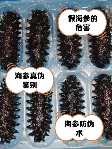 假海参泡发图片_如何辨别真假海参-第1张图片-山城妙识
