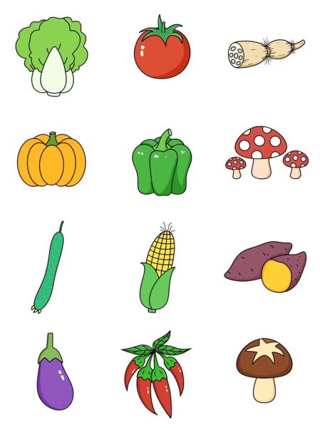 蔬菜大全简笔画带颜色_怎么画-第1张图片-山城妙识