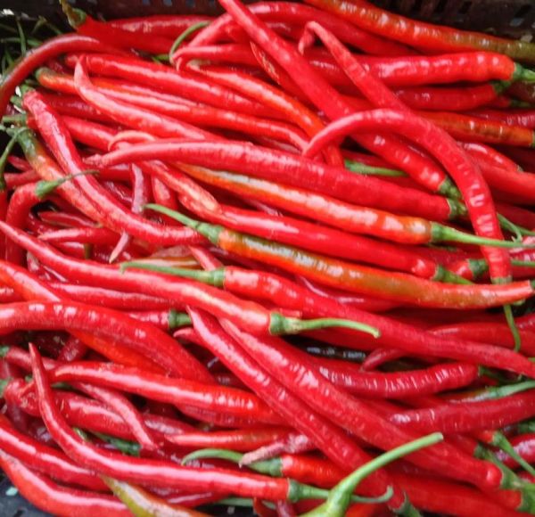 自制豆瓣酱的做法窍门_怎么做出饭店味-第1张图片-山城妙识