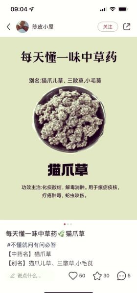 猫爪草长什么样_猫爪草图片怎么辨别真假-第2张图片-山城妙识