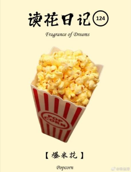 爆米花英语怎么说_爆米花英语发音怎么读-第3张图片-山城妙识 爆米花英语怎么说_爆米花英语发音怎么读-第3张图片-山城妙识