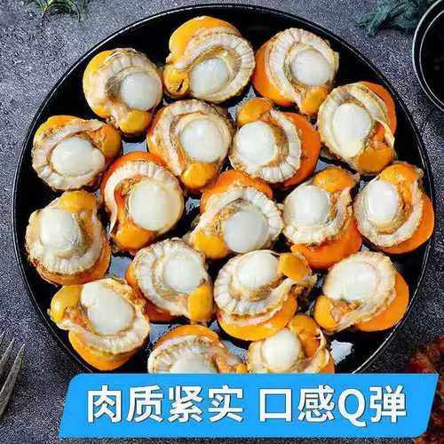 扇贝肉怎么保存_冷冻还是冷藏-第3张图片-山城妙识