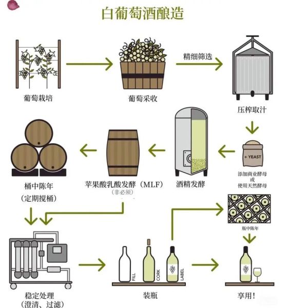 葡萄酒怎么酿造_葡萄酒生产工艺流程详解-第1张图片-山城妙识