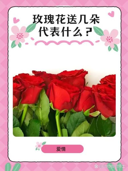 1到100朵玫瑰花代表什么意思_送花数量含义全解-第2张图片-山城妙识 1到100朵玫瑰花代表什么意思_送花数量含义全解-第2张图片-山城妙识