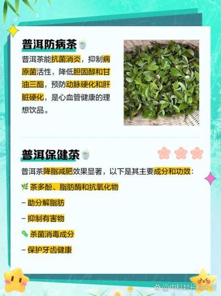 喝普洱茶有什么好处_长期饮用普洱茶的功效-第3张图片-山城妙识