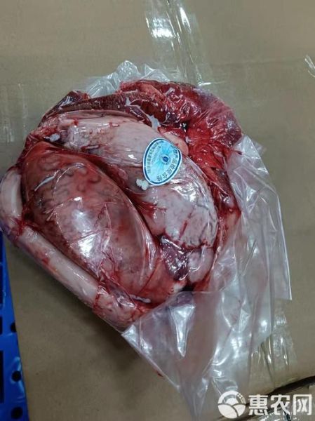 牛宝是什么部位_牛宝是哪个部位图片-第2张图片-山城妙识