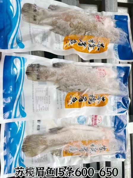 苏眉鱼多少钱一斤_苏眉鱼产地在哪里-第2张图片-山城妙识 苏眉鱼多少钱一斤_苏眉鱼产地在哪里-第2张图片-山城妙识