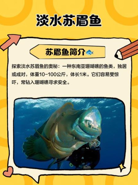 苏眉鱼多少钱一斤_苏眉鱼产地在哪里-第3张图片-山城妙识 苏眉鱼多少钱一斤_苏眉鱼产地在哪里-第3张图片-山城妙识