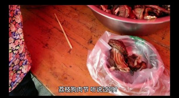 中国十大狗肉之乡有哪些_为什么玉林狗肉节争议最大-第3张图片-山城妙识