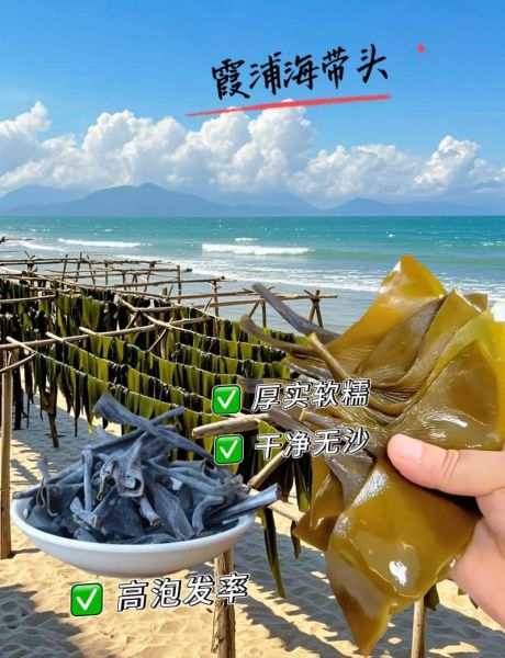 海带宝贴吧怎么样_海带宝转运靠谱吗-第3张图片-山城妙识