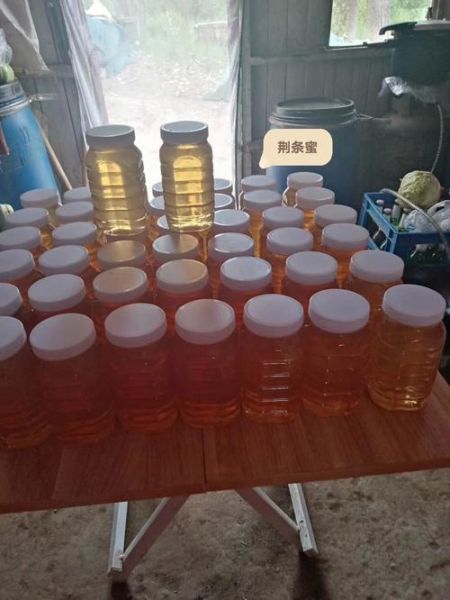 荆条蜜和槐花蜜哪个好_荆条蜜与槐花蜜区别-第3张图片-山城妙识 荆条蜜和槐花蜜哪个好_荆条蜜与槐花蜜区别-第3张图片-山城妙识