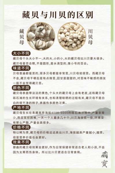 3克川贝大概几粒_川贝一次用量多少粒-第3张图片-山城妙识