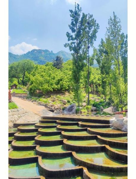 椿树沟在哪里_椿树沟有什么好玩的-第1张图片-山城妙识 椿树沟在哪里_椿树沟有什么好玩的-第1张图片-山城妙识