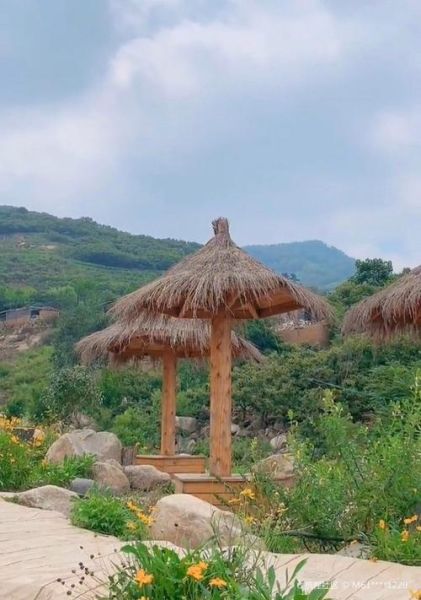 椿树沟在哪里_椿树沟有什么好玩的-第3张图片-山城妙识 椿树沟在哪里_椿树沟有什么好玩的-第3张图片-山城妙识