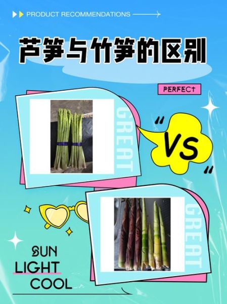 芦笋和竹笋的区别_哪个更营养-第1张图片-山城妙识