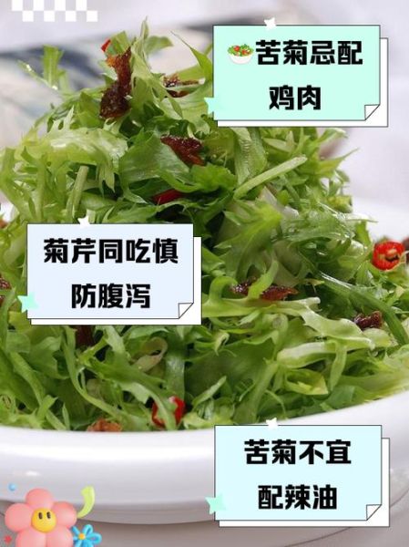 苦菊的功效与作用_苦菊的禁忌人群有哪些-第3张图片-山城妙识 苦菊的功效与作用_苦菊的禁忌人群有哪些-第3张图片-山城妙识