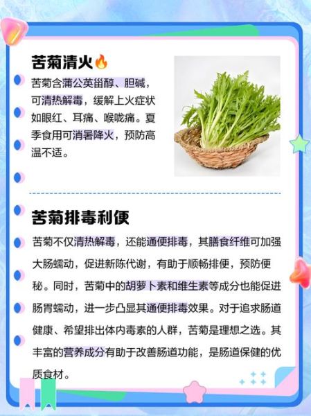 苦菊的功效与作用_苦菊的禁忌人群有哪些-第1张图片-山城妙识 苦菊的功效与作用_苦菊的禁忌人群有哪些-第1张图片-山城妙识