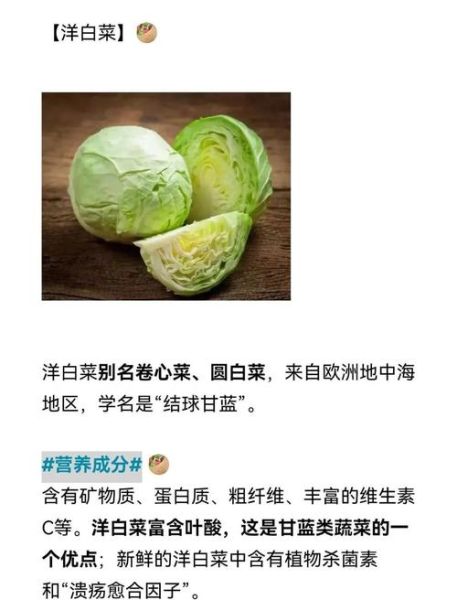 卷心菜和包心菜的区别_哪个更营养-第1张图片-山城妙识
